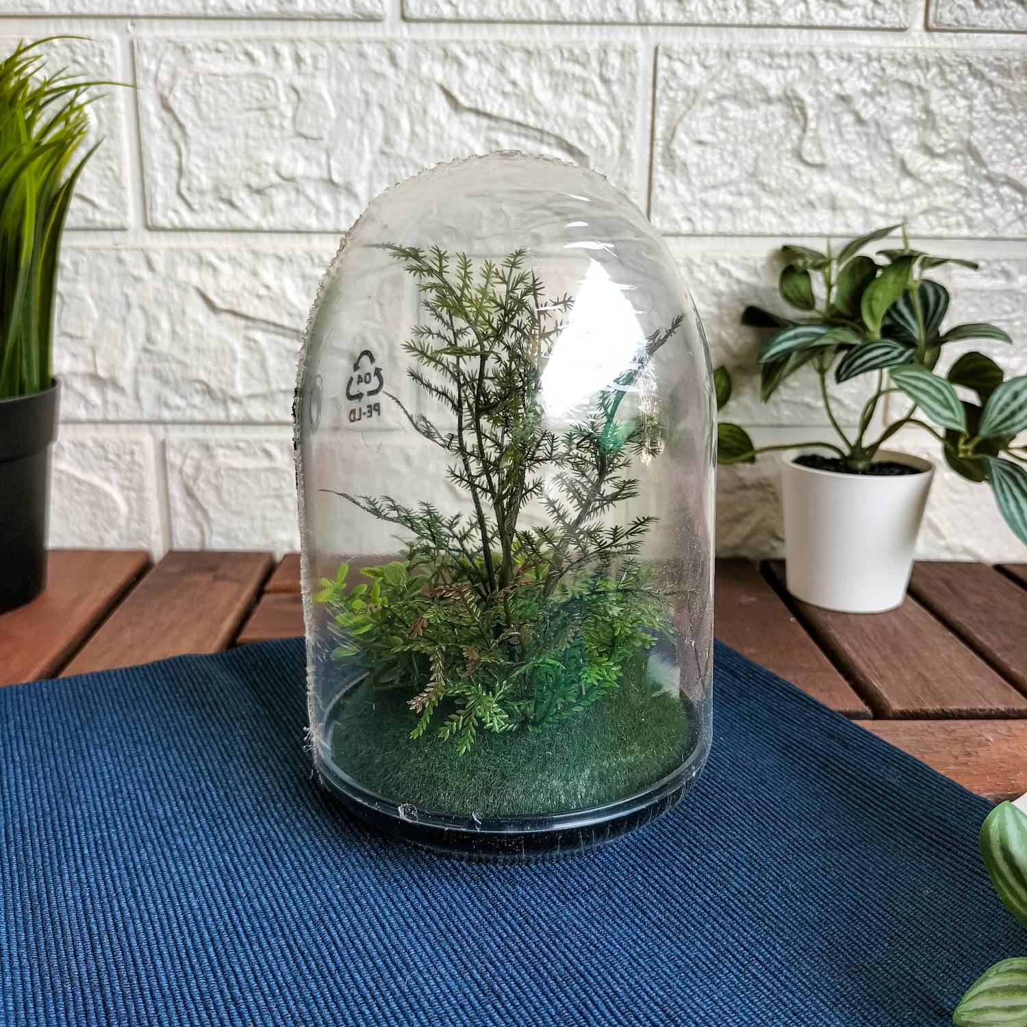 INVÄNDIG Artificial terrarium, dome– HomesopSolutions